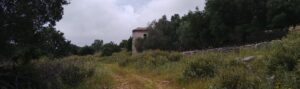 Northern Corfu: The Ultimate Guide to North East Corfu